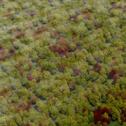 Villanova University Interactive Map & Virtual Tour