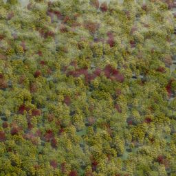 Villanova University Interactive Map & Virtual Tour